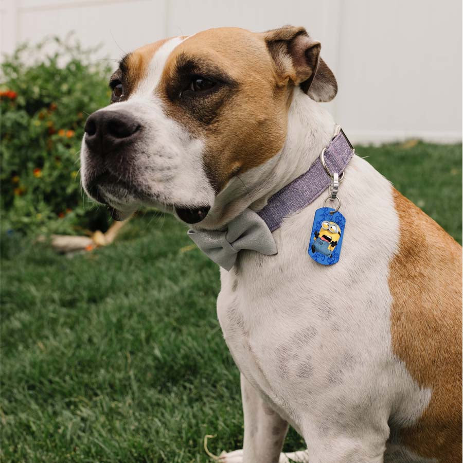 Minion Dave Military Pet ID Tag – Quick-Tag